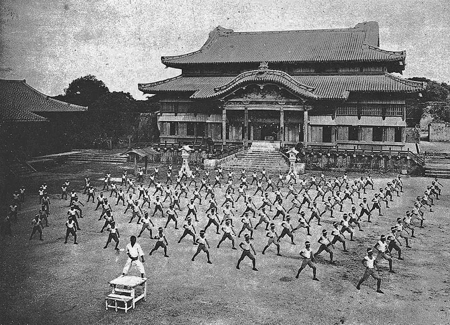 Goju-Ryu: From Okinawa to the World – diegodelaparra